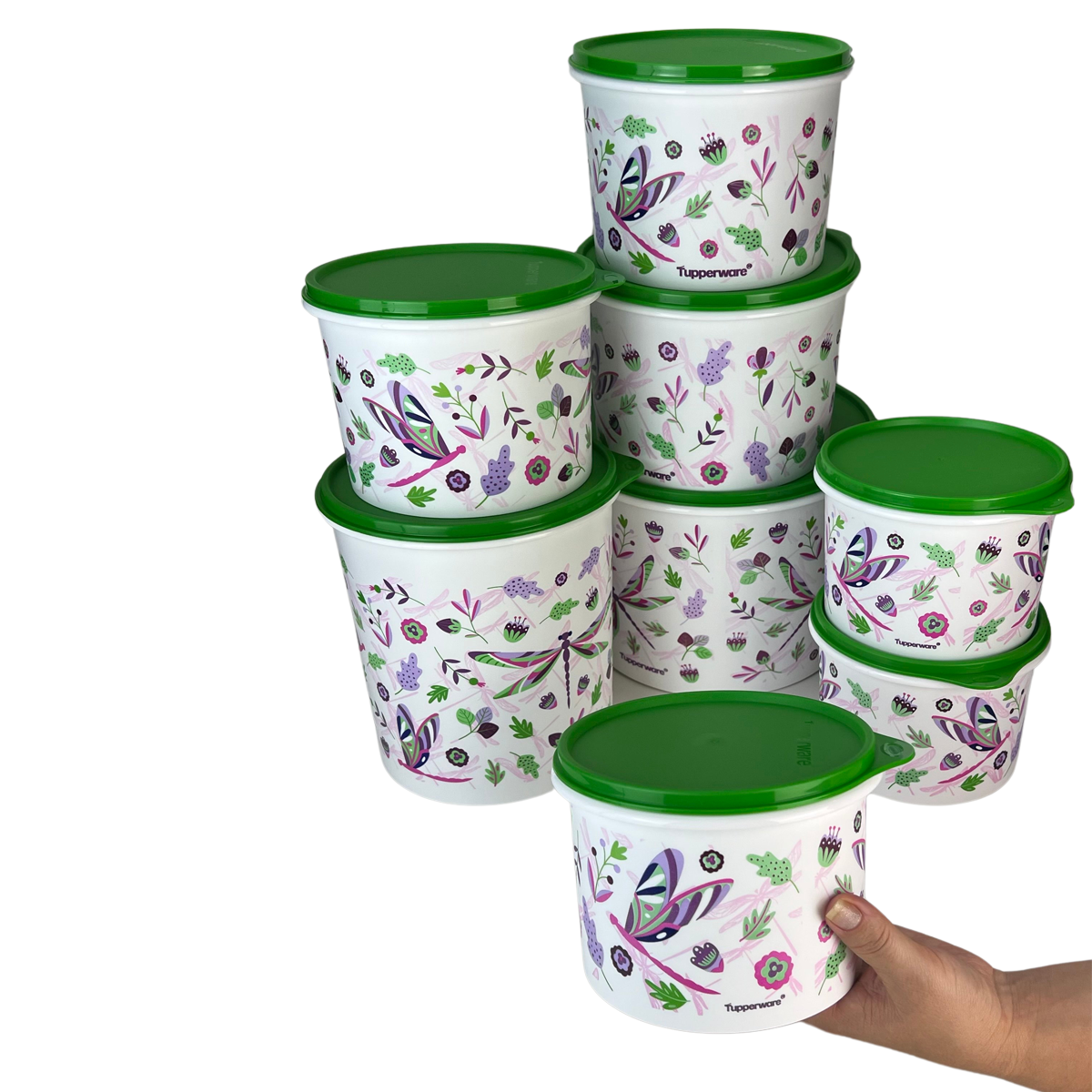 Kit Tupperware PDA 02/2025 Libélulas 8 peças - Comprar Tupperware ...
