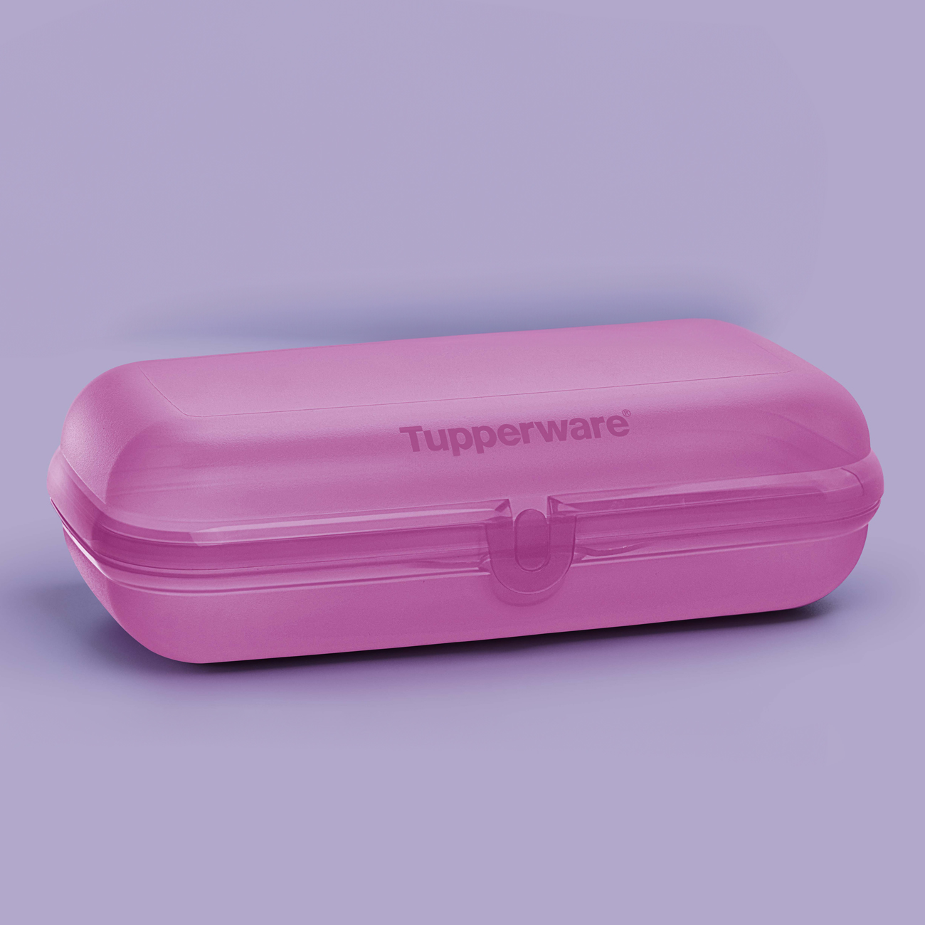 Kit Tupperware Snack Grande Porta Sanduiche Azul e Roxo - Comprar ...