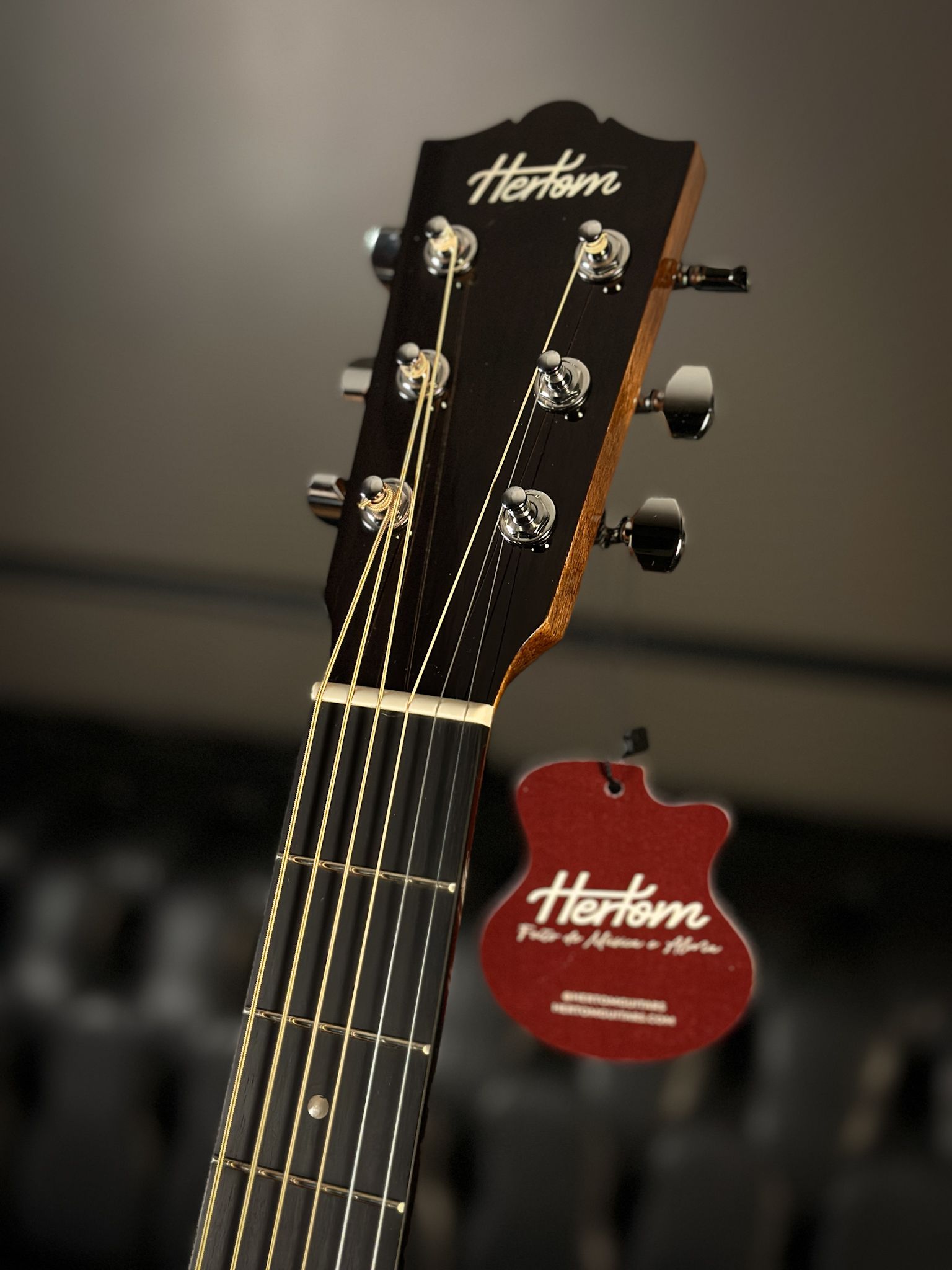 VIOLAO GRAND AUDITORIUM GA STD N - HERTOM W/CASE - Crunch Music