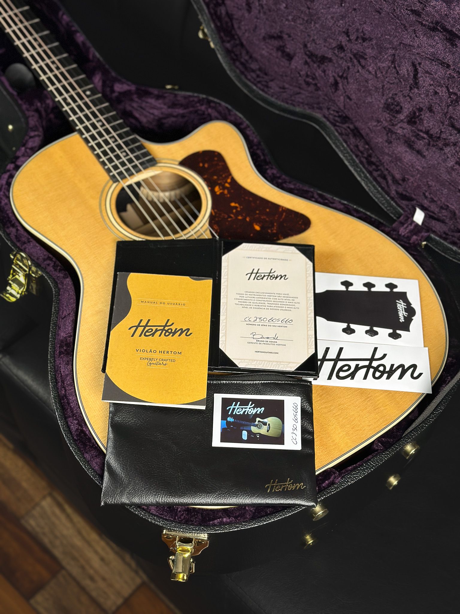 VIOLAO GRAND AUDITORIUM GA DLX N - HERTOM - Crunch Music