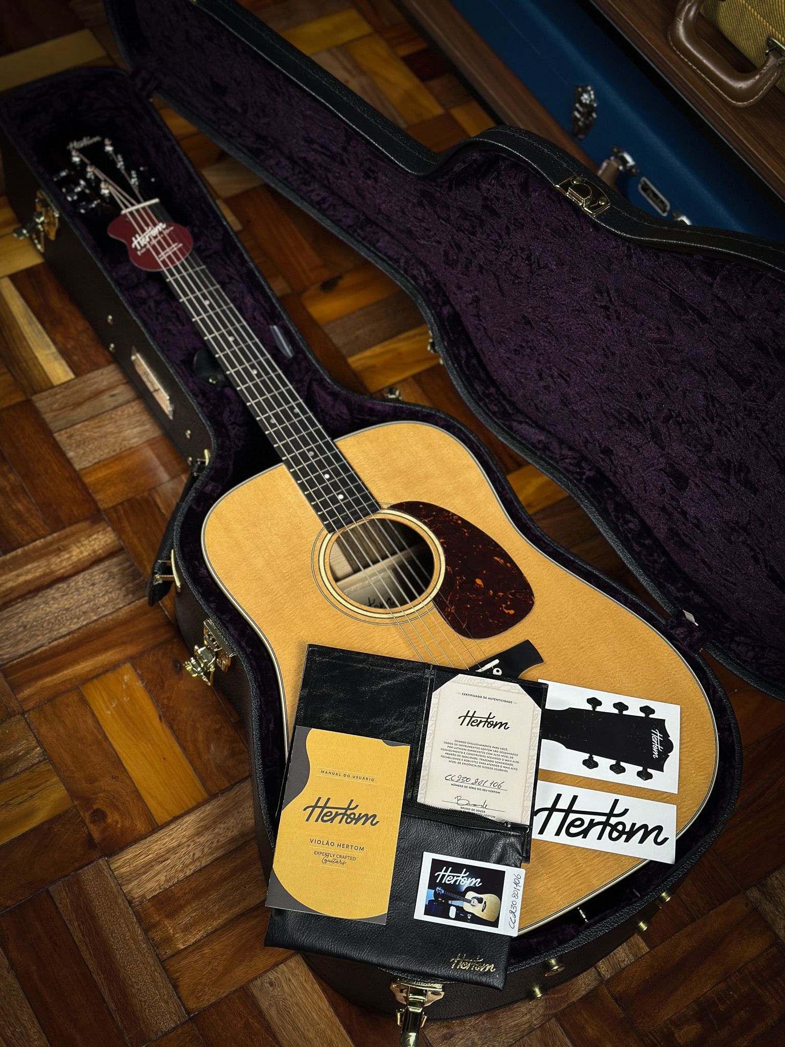 VIOLAO DREADNOUGHT DLX N - HERTOM - Crunch Music