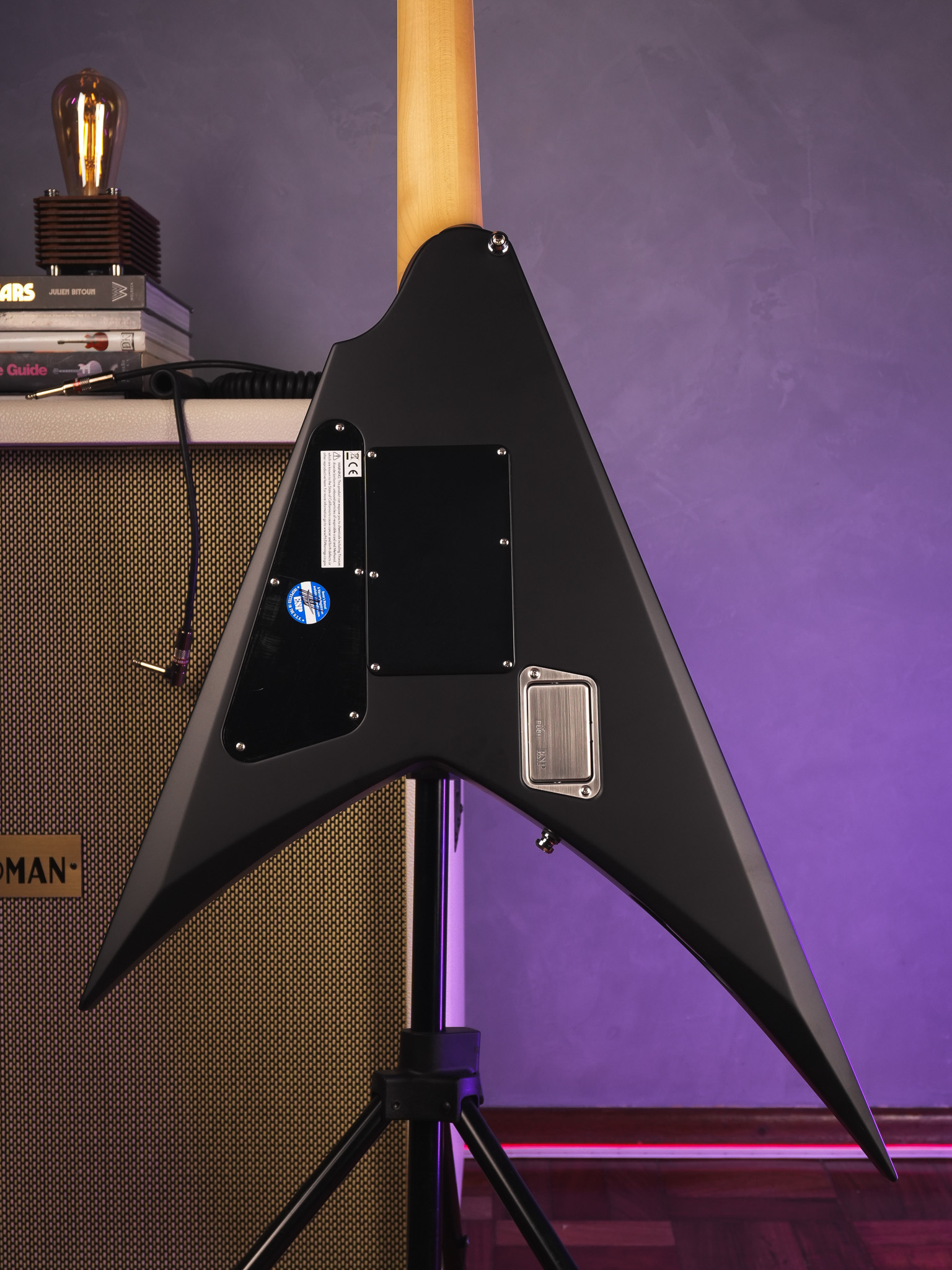 Guitarra Flying V Esp Alexi Laiho Ripped - Custom Shop - Crunch Music