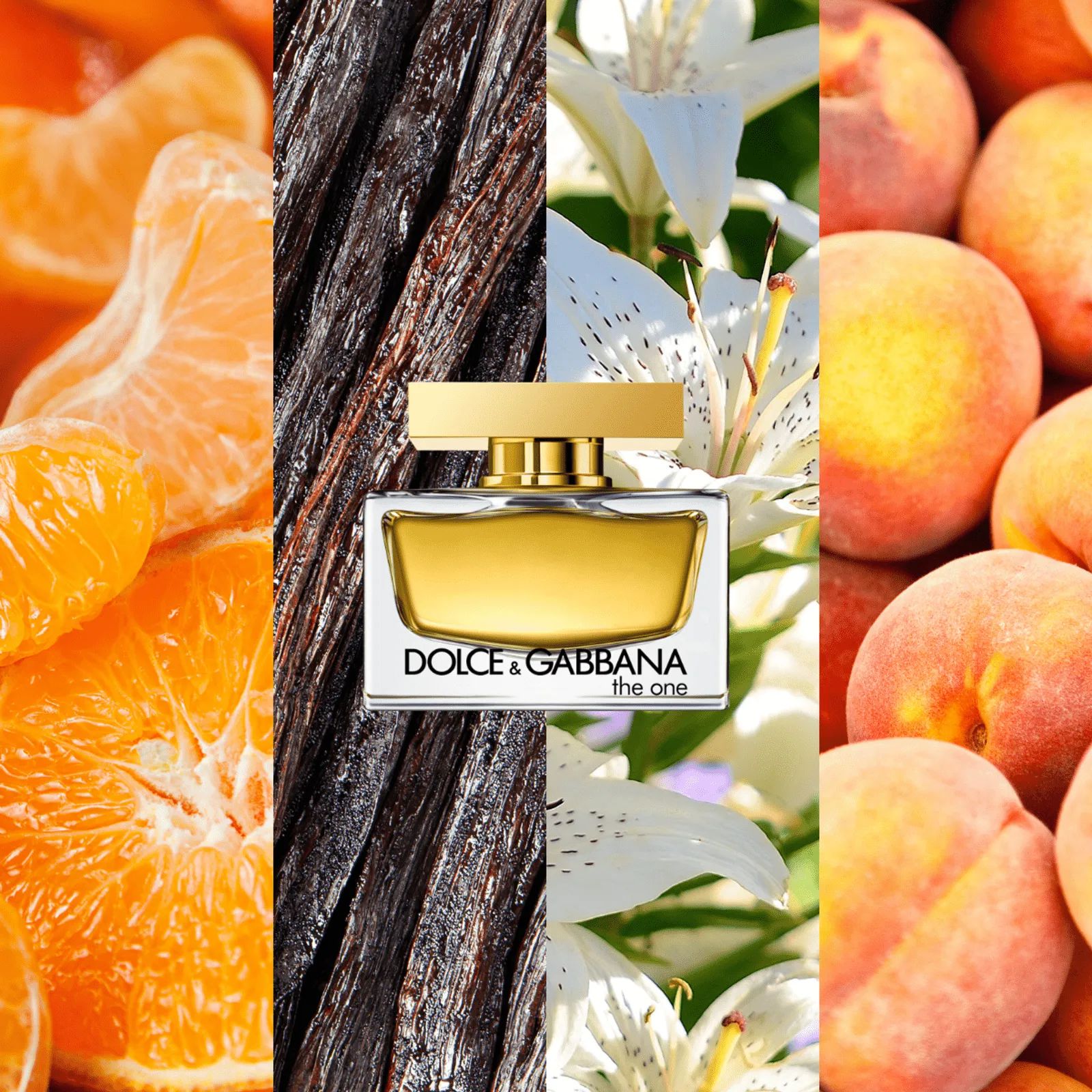 Descubra a sedução com o Perfume The One EDP Feminino Dolce Gabbana! C ...