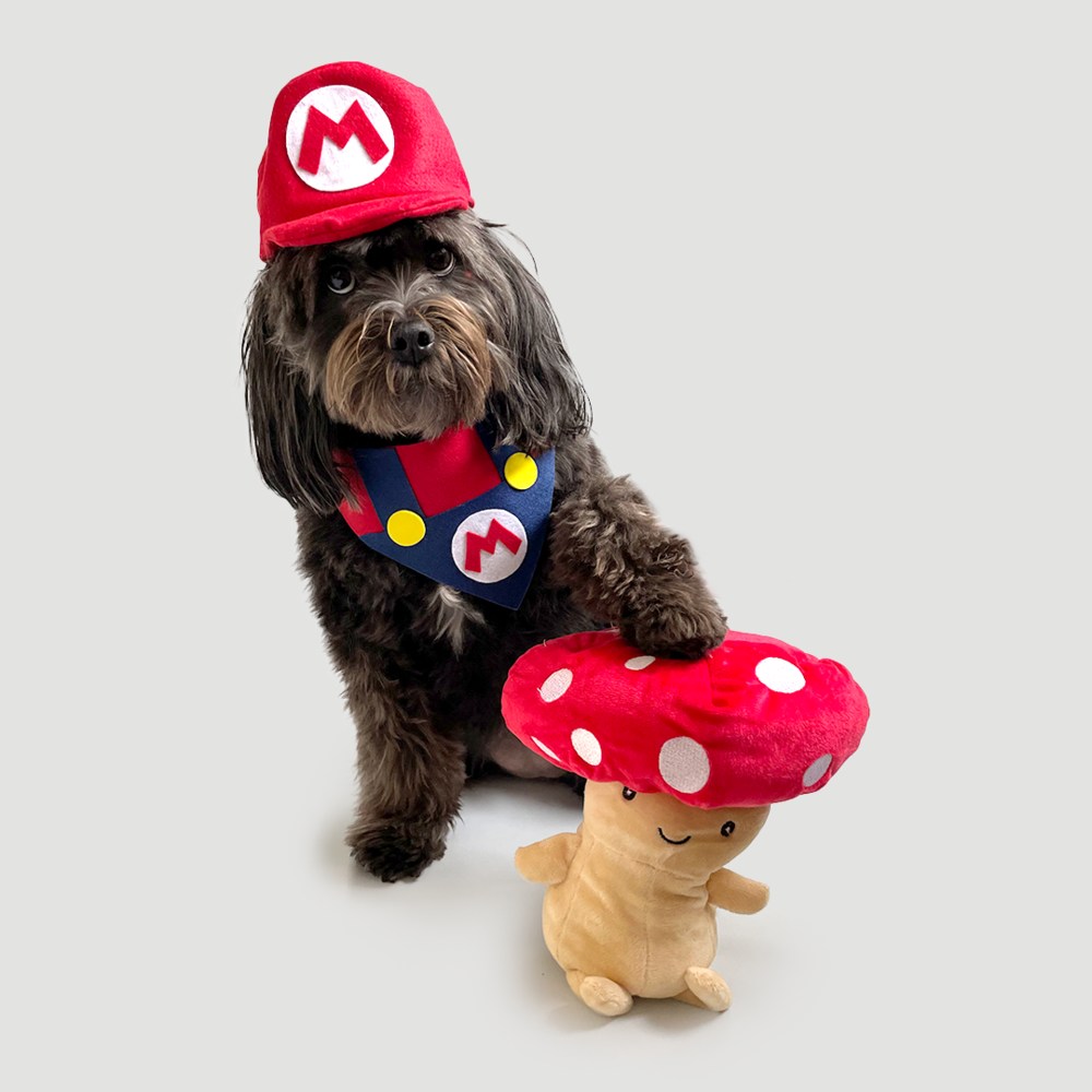 Fantasia para Cachorros e Gatos Super Mario Bros | Bichinho Virtual ...
