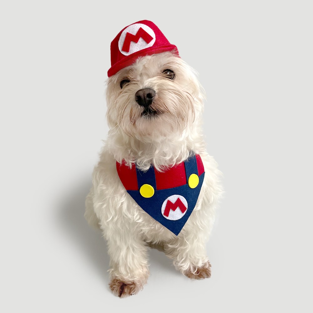Fantasia para Cachorros e Gatos Super Mario Bros | Bichinho Virtual ...