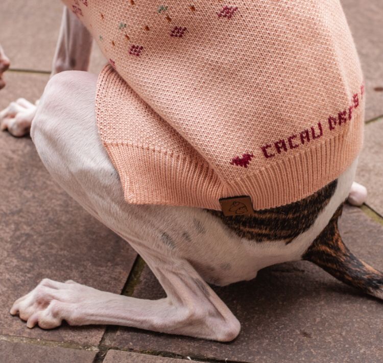 Tricô para Cachorros e Gatos Gola Alta Graceful | Bichinho Virtual ...