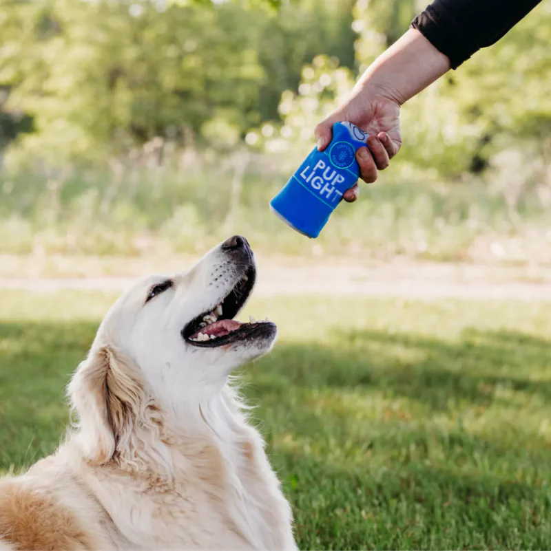 Brinquedo Pet Squeakie Can Zippy Extra | Bichinho Virtual - Bichinho ...