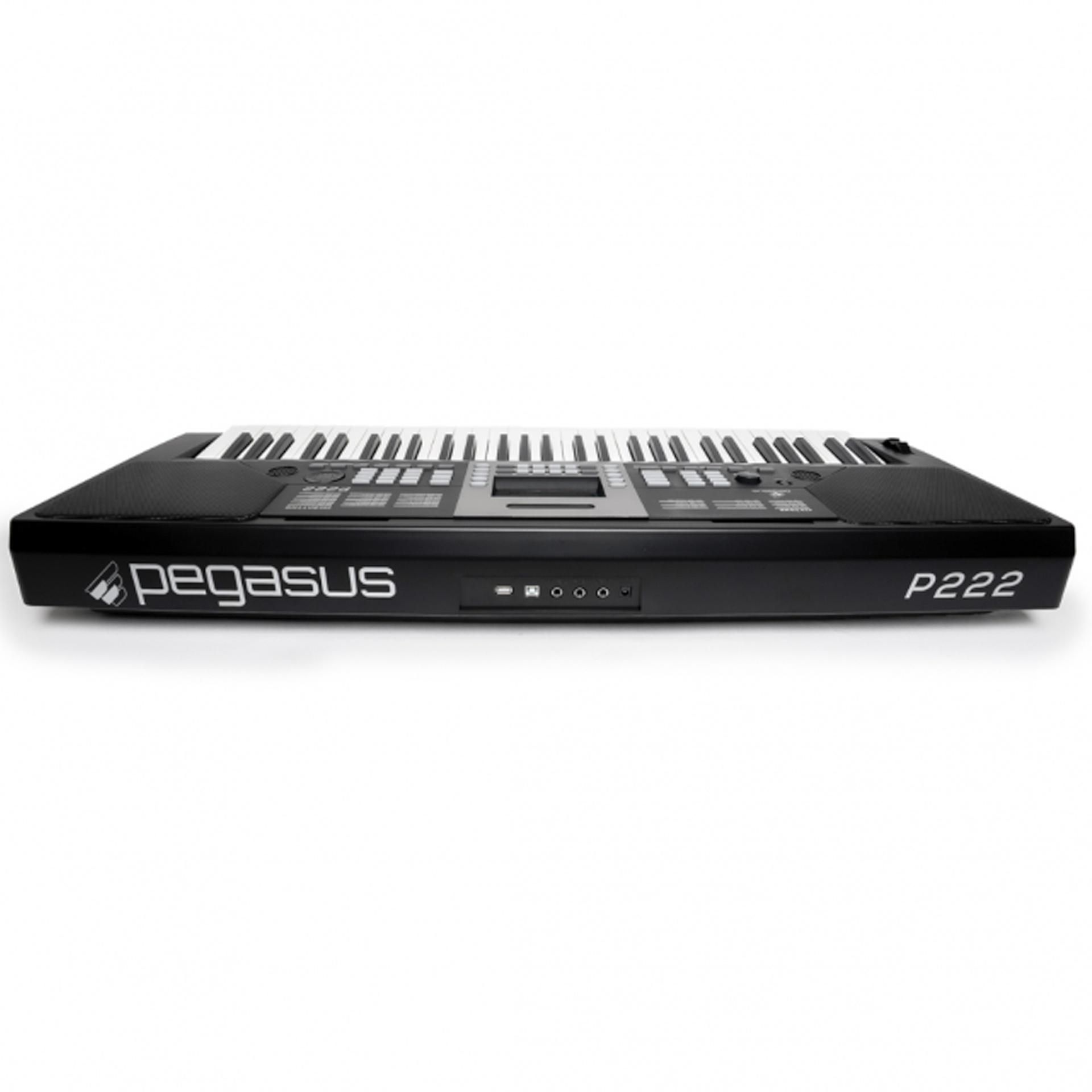 TECLADO SINTETIZADOR PEGASUS MODELO P222 61 TECLAS - Musical RIFF - Loja de Instrumentos Musicais