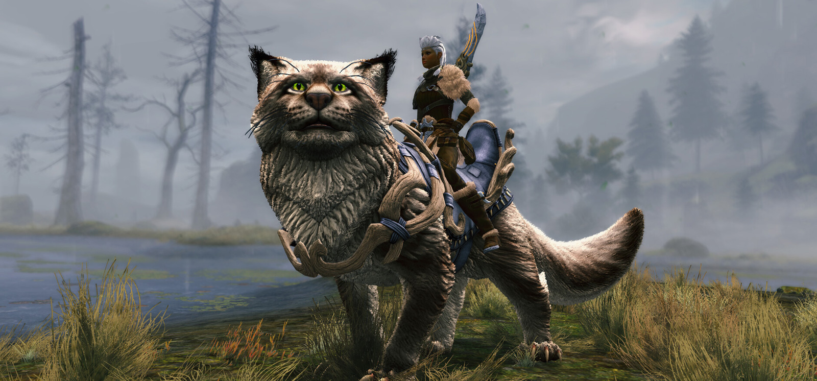 Guild Wars 2: Janthir Wilds Deluxe Edition - PC - Compre na THKEYS ...