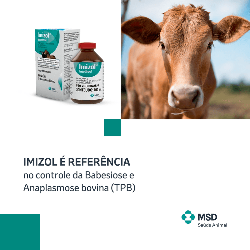 Imizol Injetável - 100 ml - MSD - Mercado AgroPet