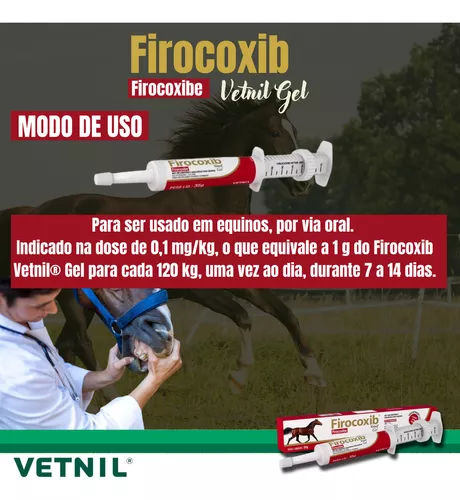 Firocoxib Vetnil Gel 35g – Anti-inflamatório Tópico para Equinos ...