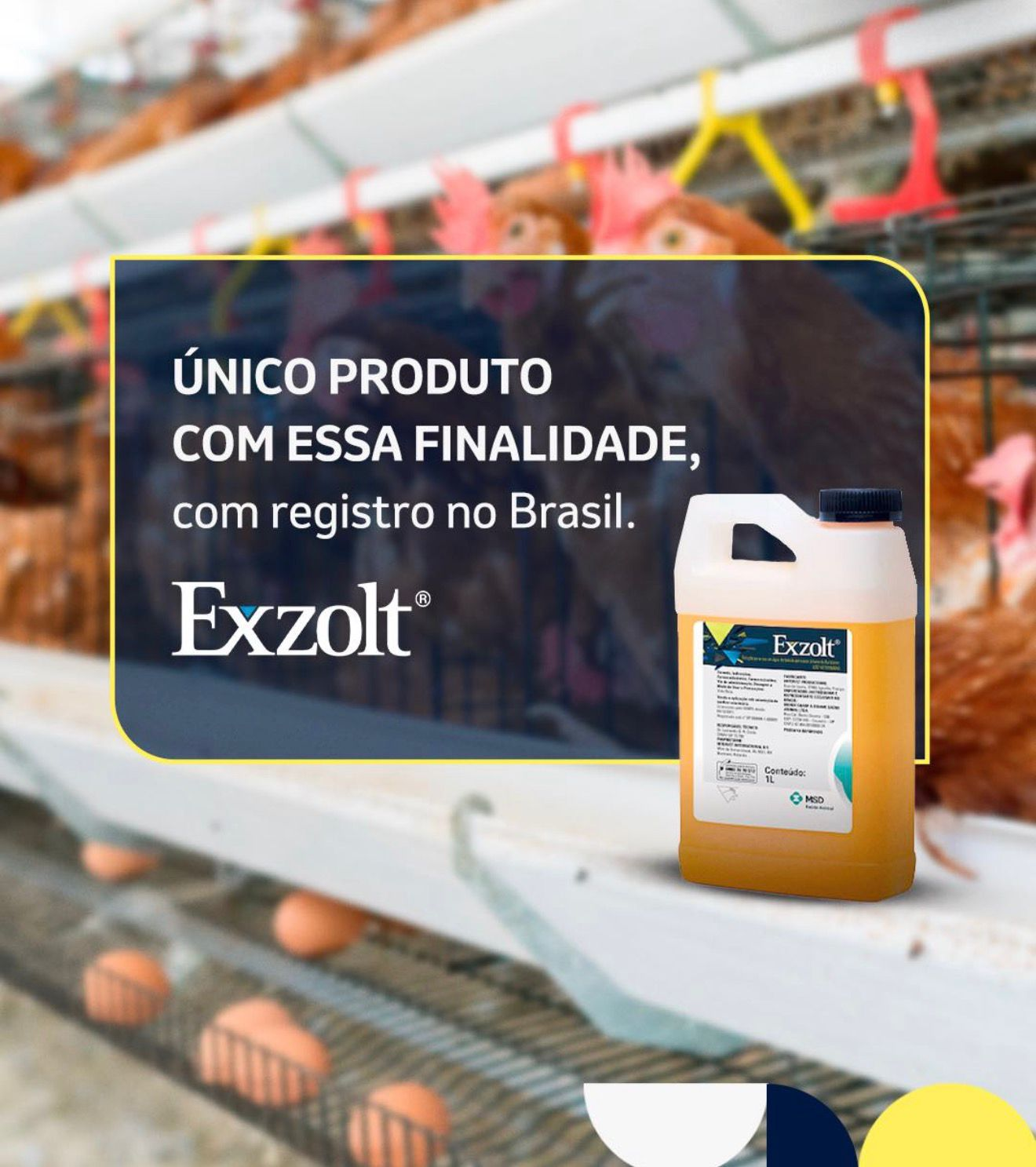EXZOLT Aves 1 L – Controle eficaz do ácaro vermelho em poedeiras ...