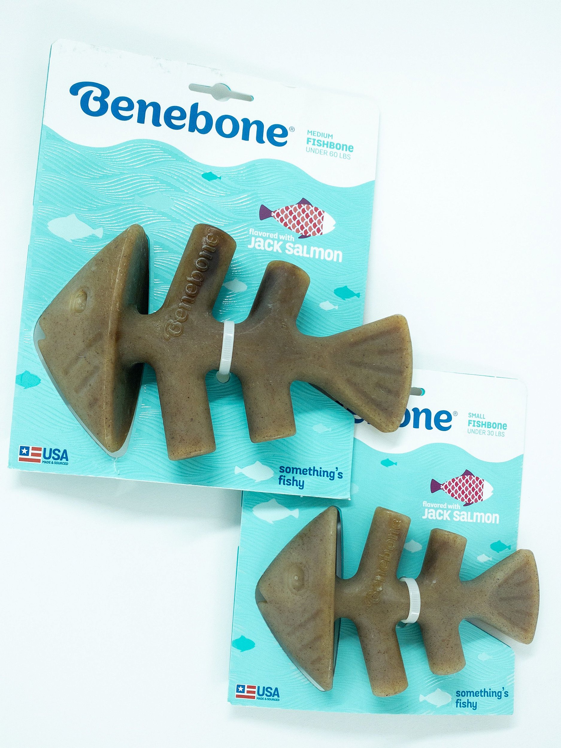 BENEBONE Fishbone - Pet in Action