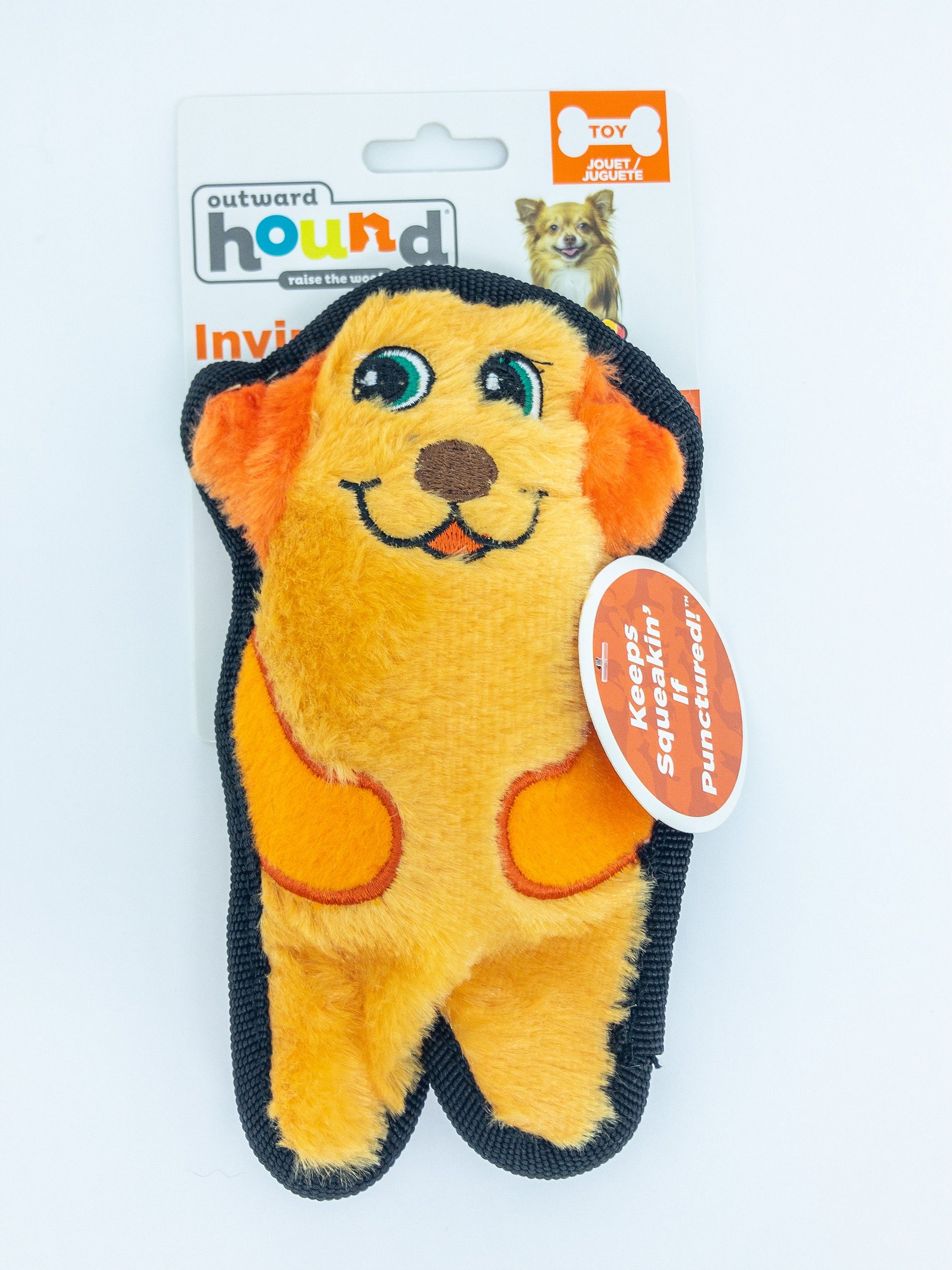 OUTWARD HOUND Invincibles® Mini - Pet in Action