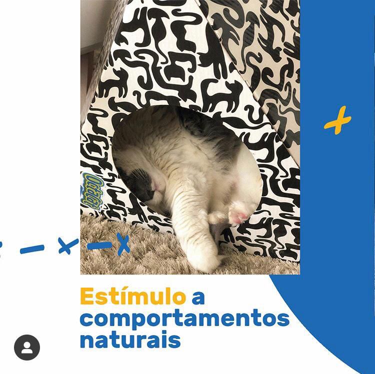 PET GAMES Octa Cat - Pet in Action