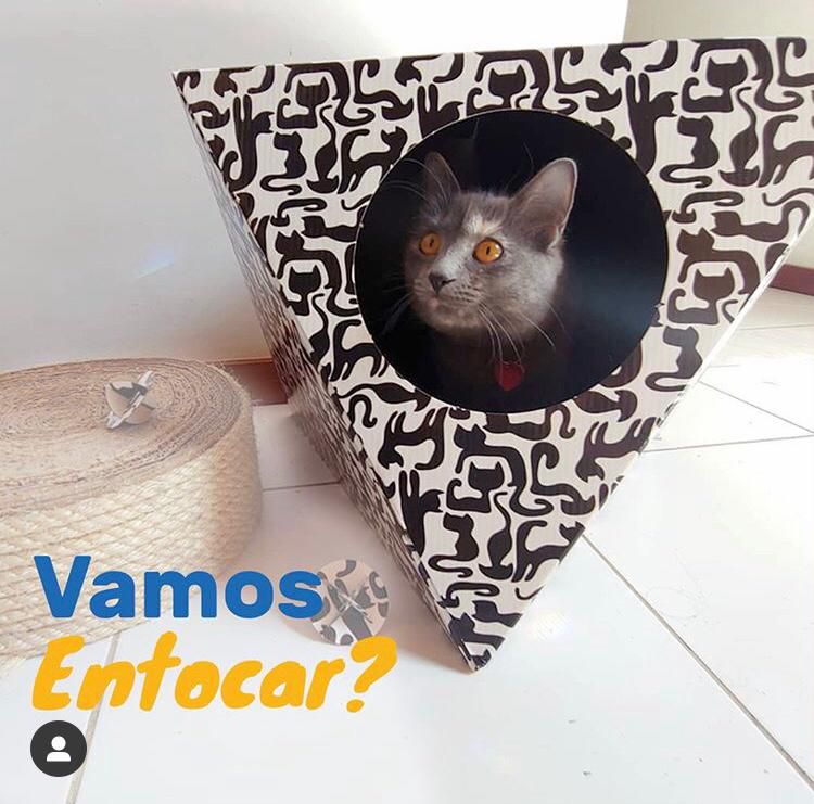 PET GAMES Octa Cat - Pet in Action