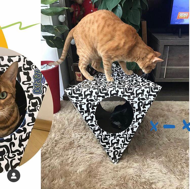 PET GAMES Octa Cat - Pet in Action