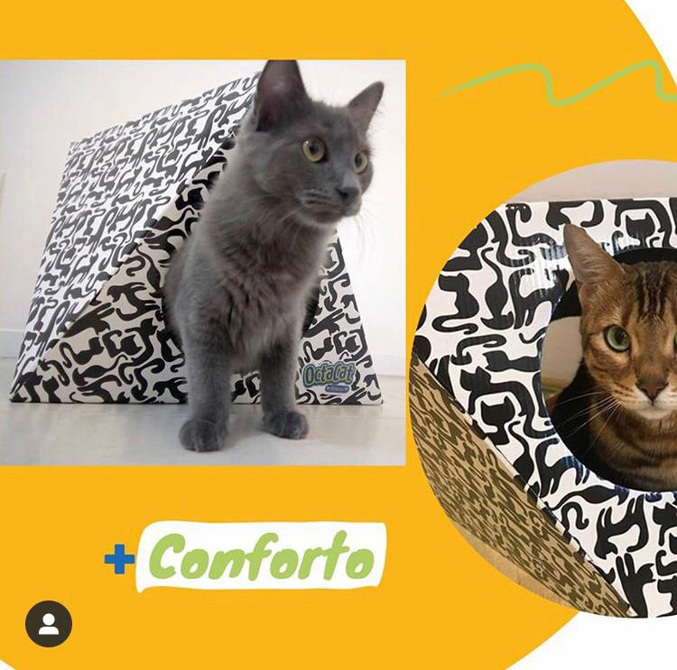 PET GAMES Octa Cat - Pet in Action