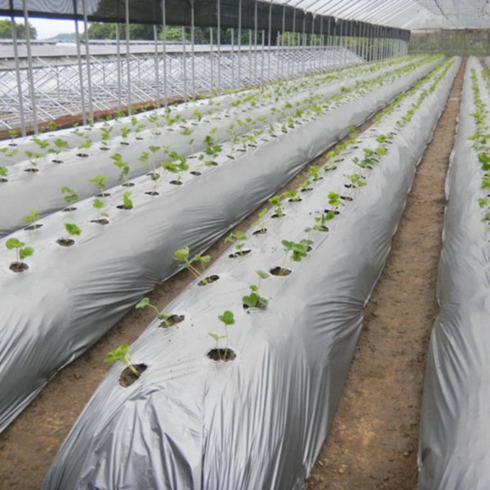 Mulching Preto e Prata 1,40X1000 Ref 25 - Bocchi Suprimentos