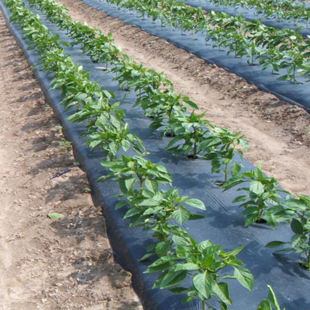 Mulching Preto/Preto 1,40X1000 Ref 20 - Bocchi Suprimentos