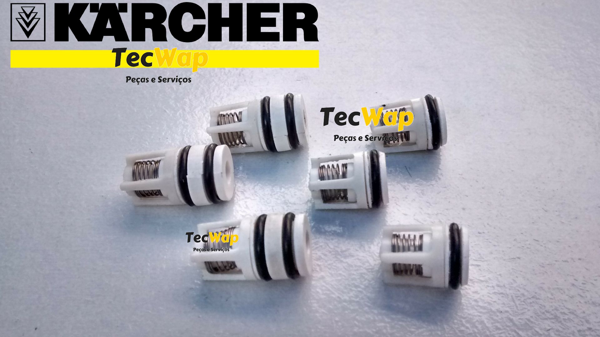 Kit Pistão com Molas + Valvulas Karcher 310-320-330 Karcher - TecWap ...
