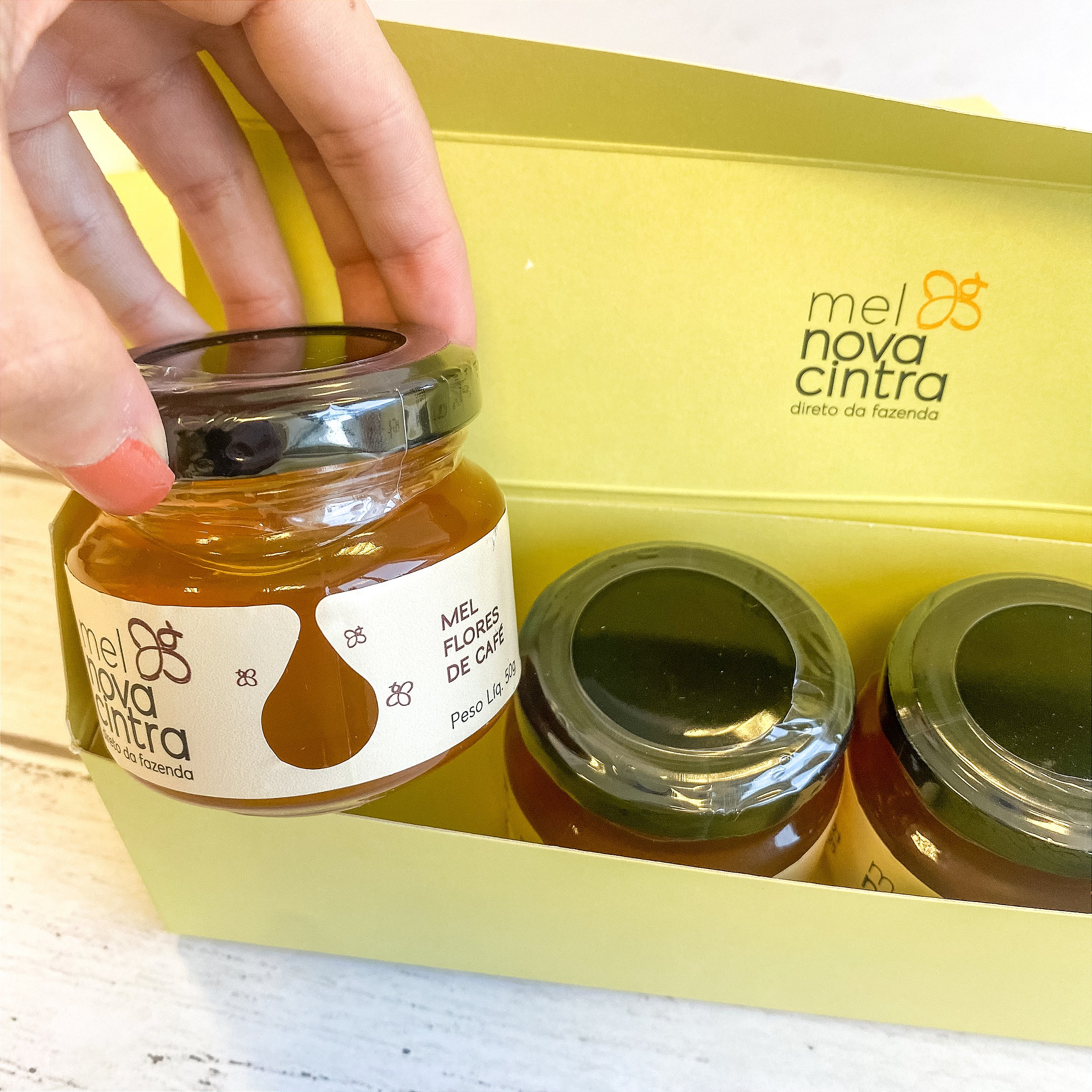 Mel Nova Cintra - Degustação Collection - Nova Cintra