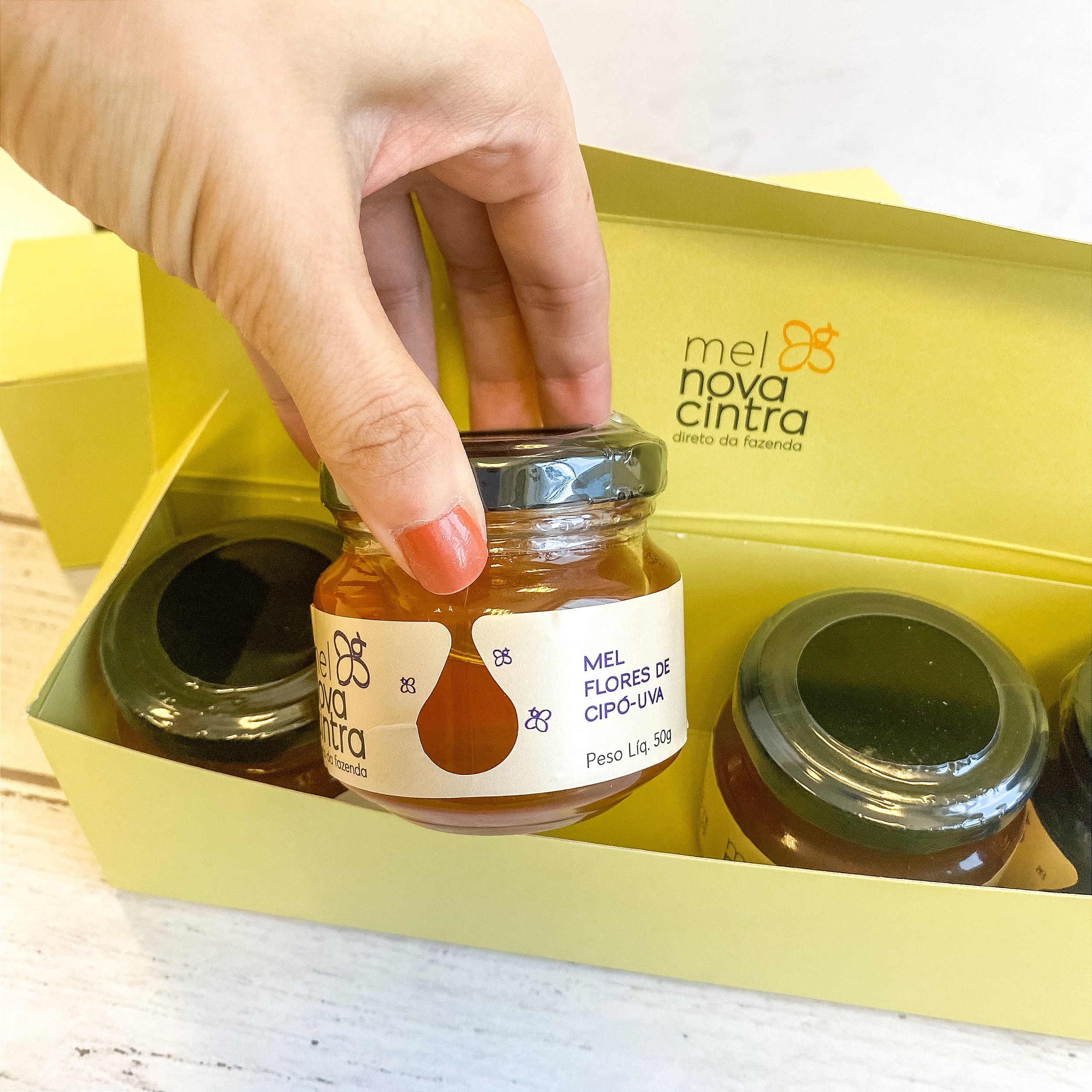 Mel Nova Cintra - Degustação Collection - Nova Cintra