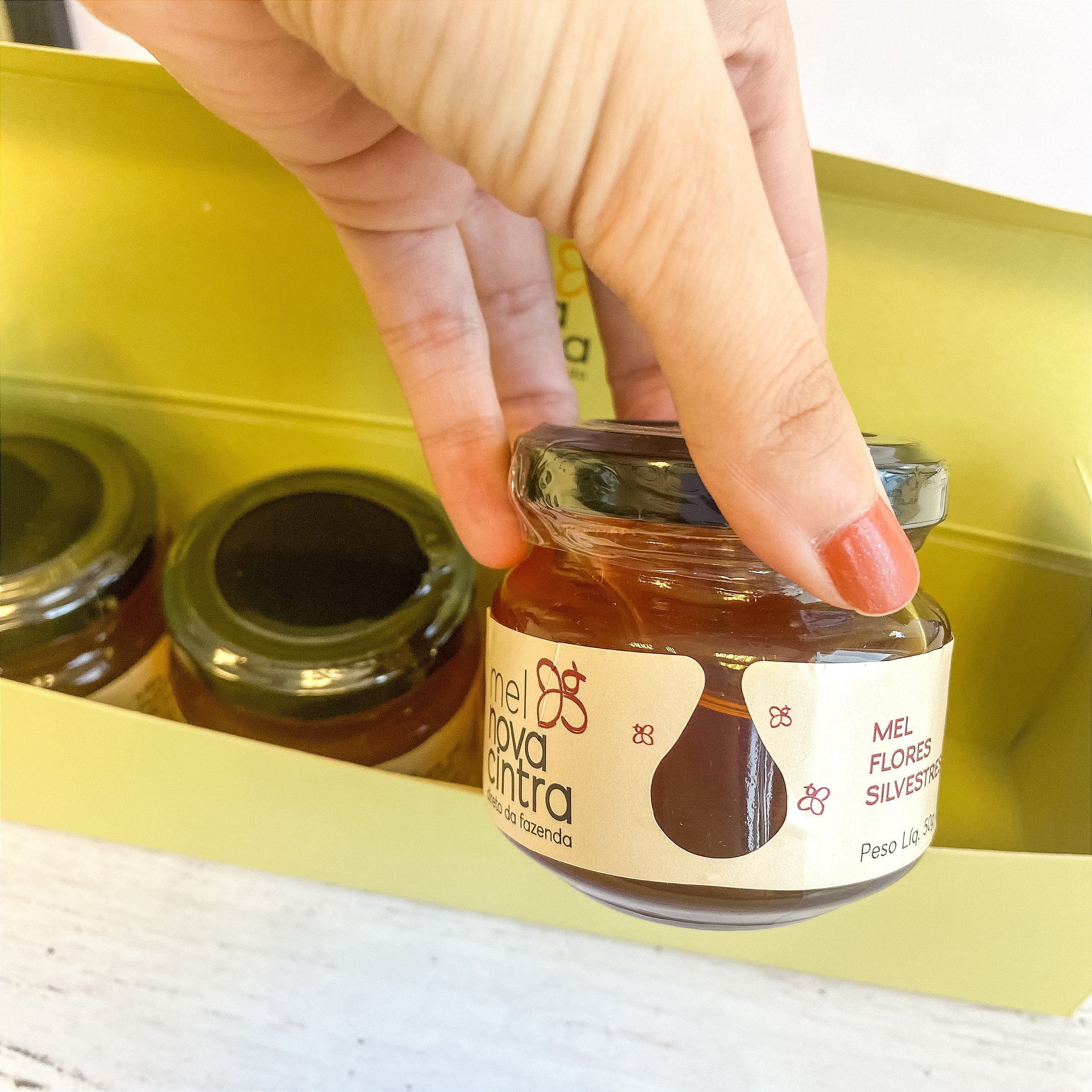 Mel Nova Cintra - Degustação Collection - Nova Cintra