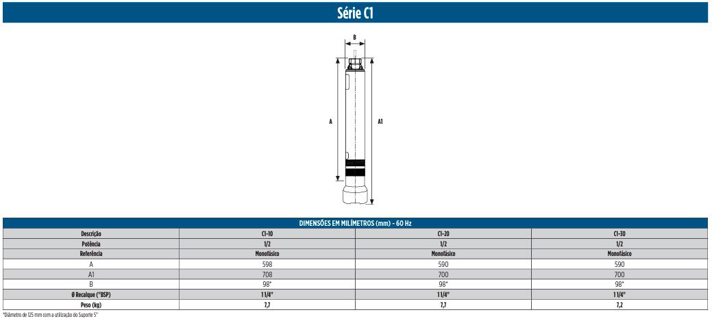 Bomba Submersa Schneider C1-10 Monofásica 220Volts 0.5Cv - RMTEC Bombas