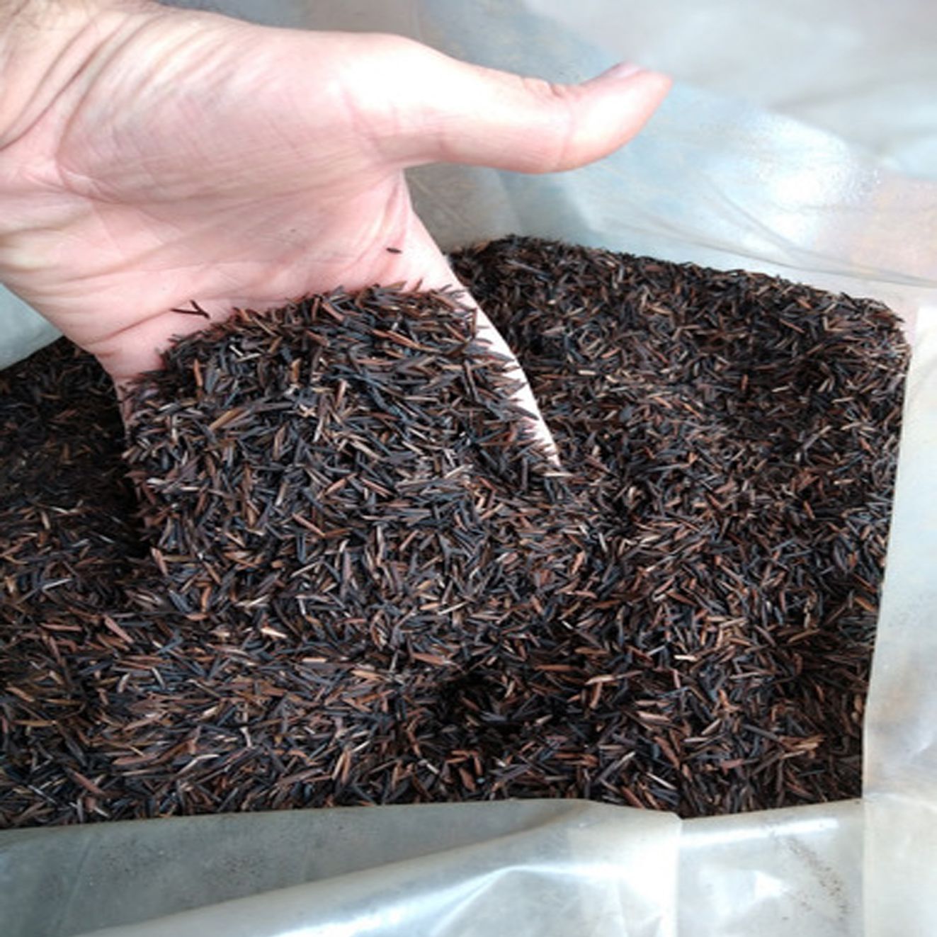casca de arroz carbonizada 50 L - COMPRECONSTRUEAGRO, Compra rápida e ...