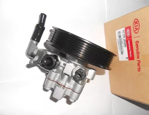 Bomba De Direção Hidráulica Sorento 2.4 16v De 2010 À 2015 - - ED ...