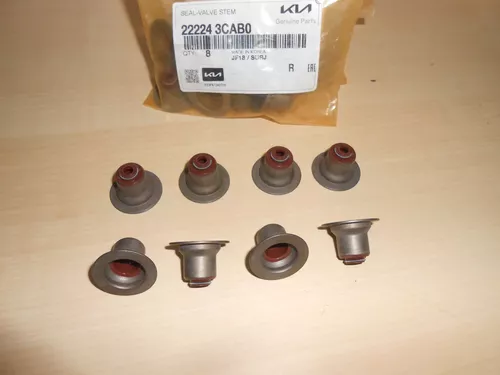 Jogo Retentor De Válvulas Kia Sorento Motor 3.5 V6 24val. - ED. PICKUPS ...