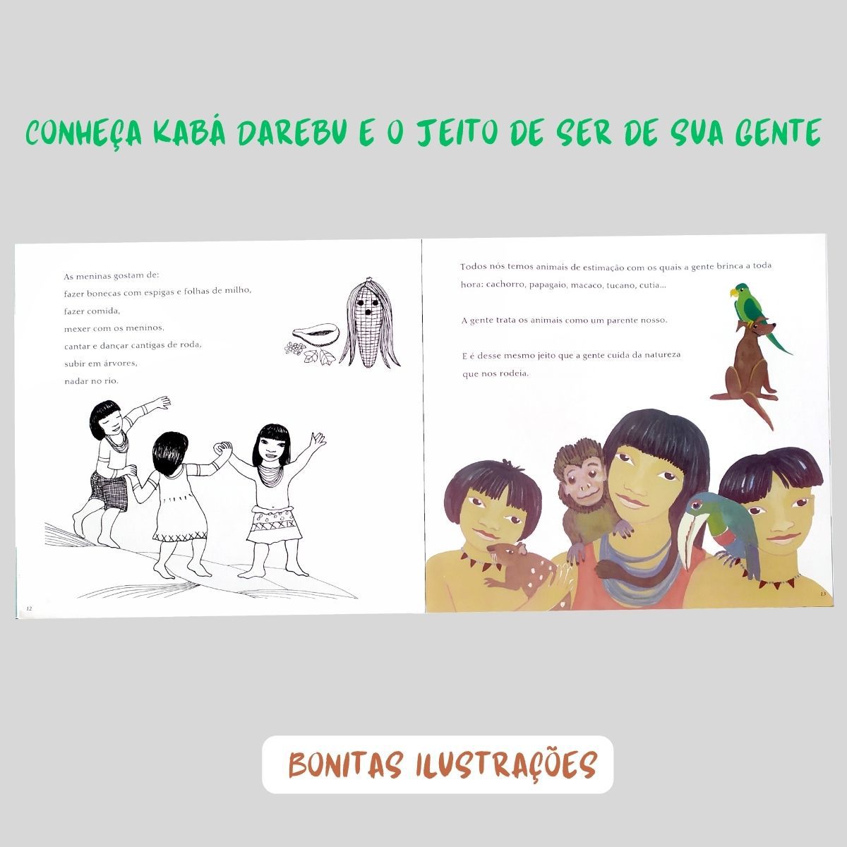 Livro Kabá Darebu - Poltrona Mágica - Livros para os pequenos ...