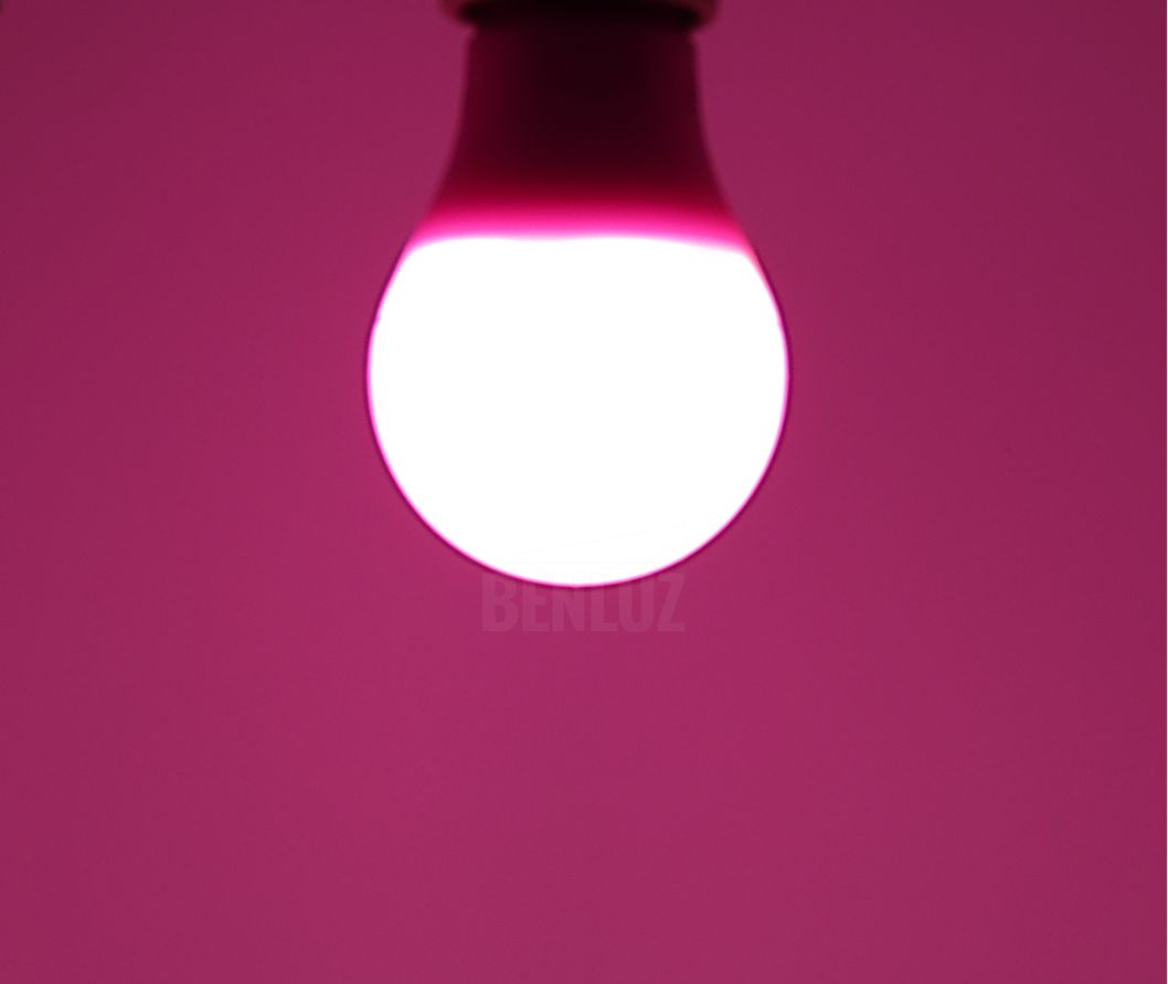 Lâmpada Bulbo LED Rosa 7W Bivolt E27 - BENLUZ- Especialistas em Iluminação