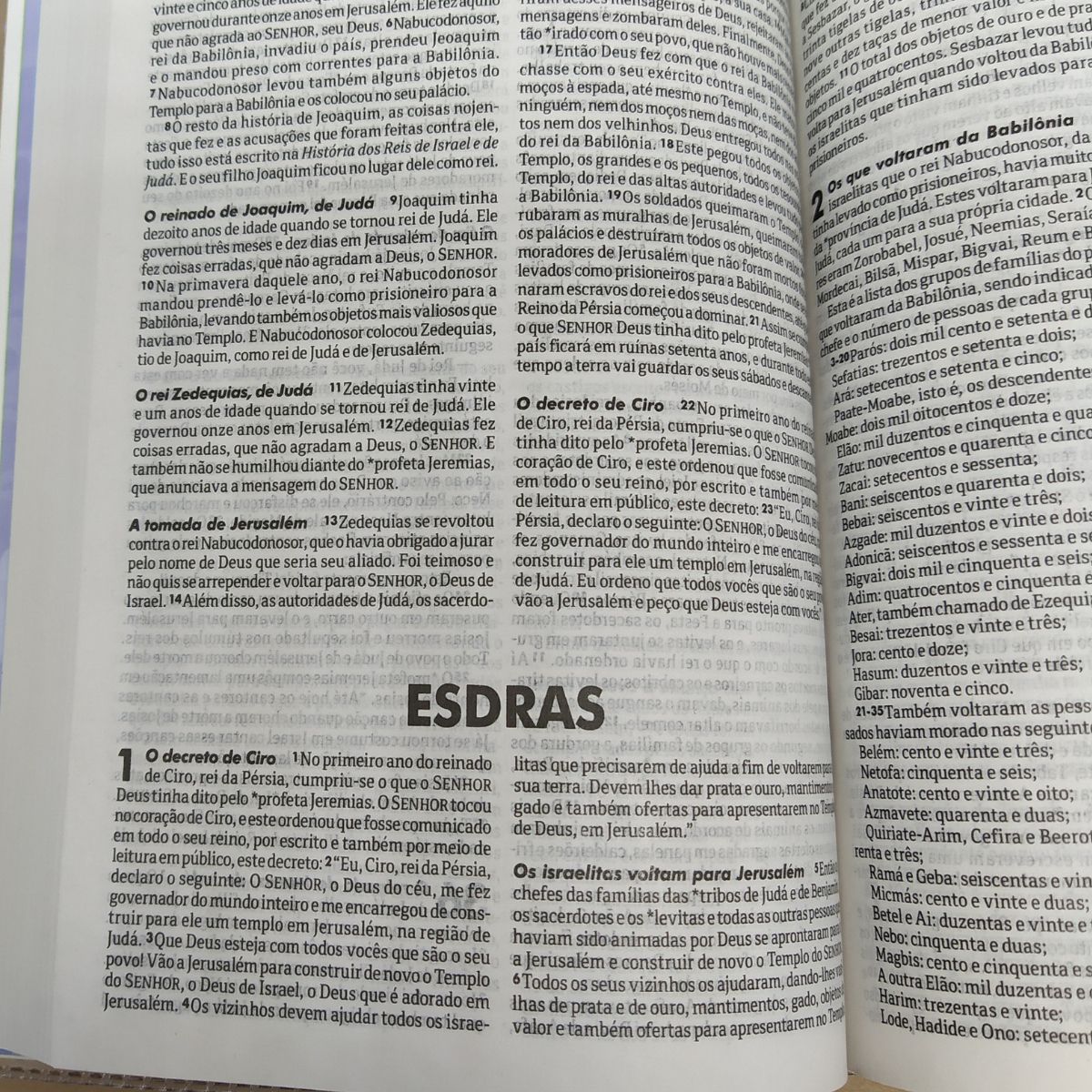 Bíblia Sagrada Mig e Meg NTLH Capa Brochura Meg - SBB - Gospel Commerce ...