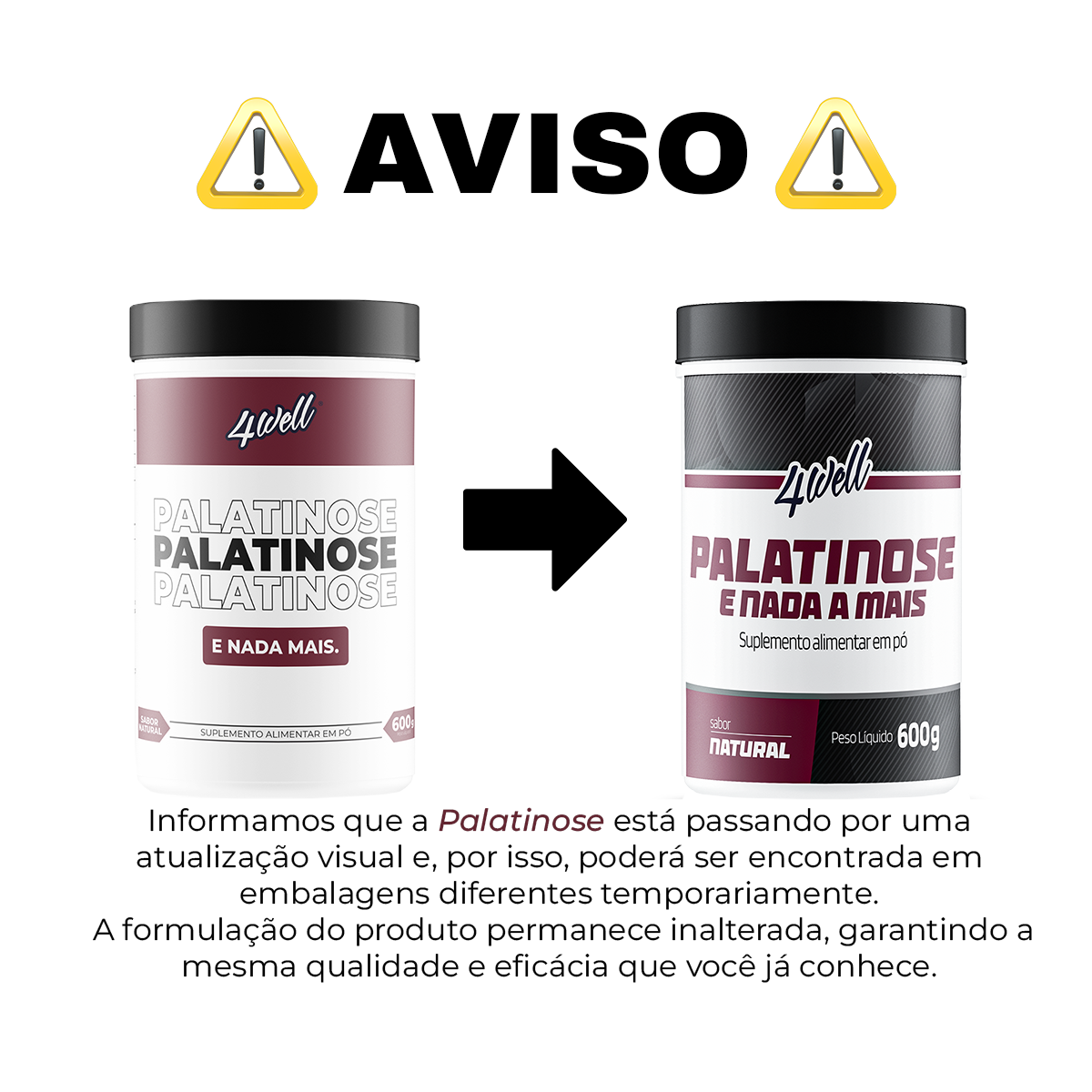 Palatinose 600g Pote - 4Well - É pratico sentir-se bem!