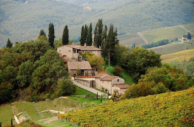 MONTE BERNARDI RETROMARCIA CHIANTI CLASSICO DOCG 2022 - Winebio