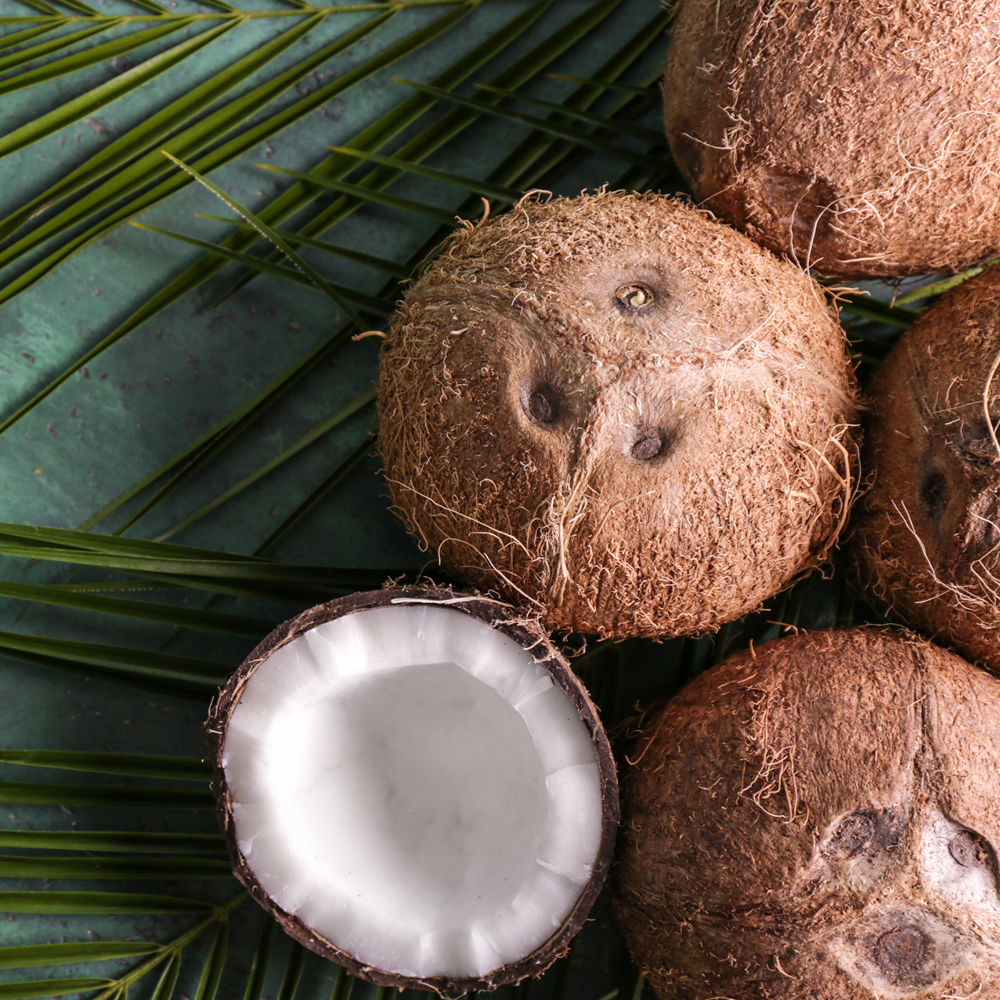 Essência Coconut Hidrossolúvel Concentrada Aromática para Sabonetes, A ...