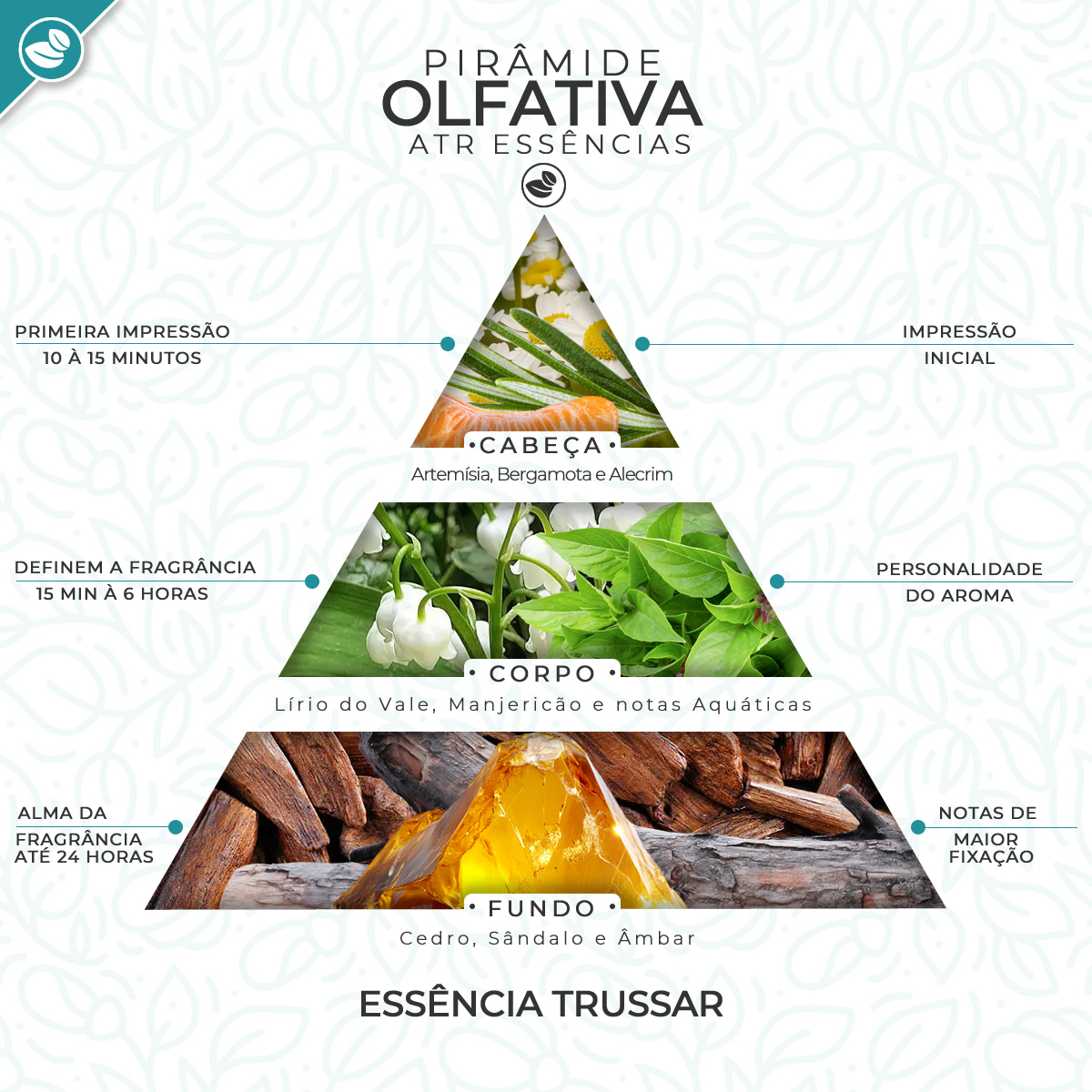 Essência Trussar Lipossolúvel Óleo Concentrada Aromática para Velas, A ...