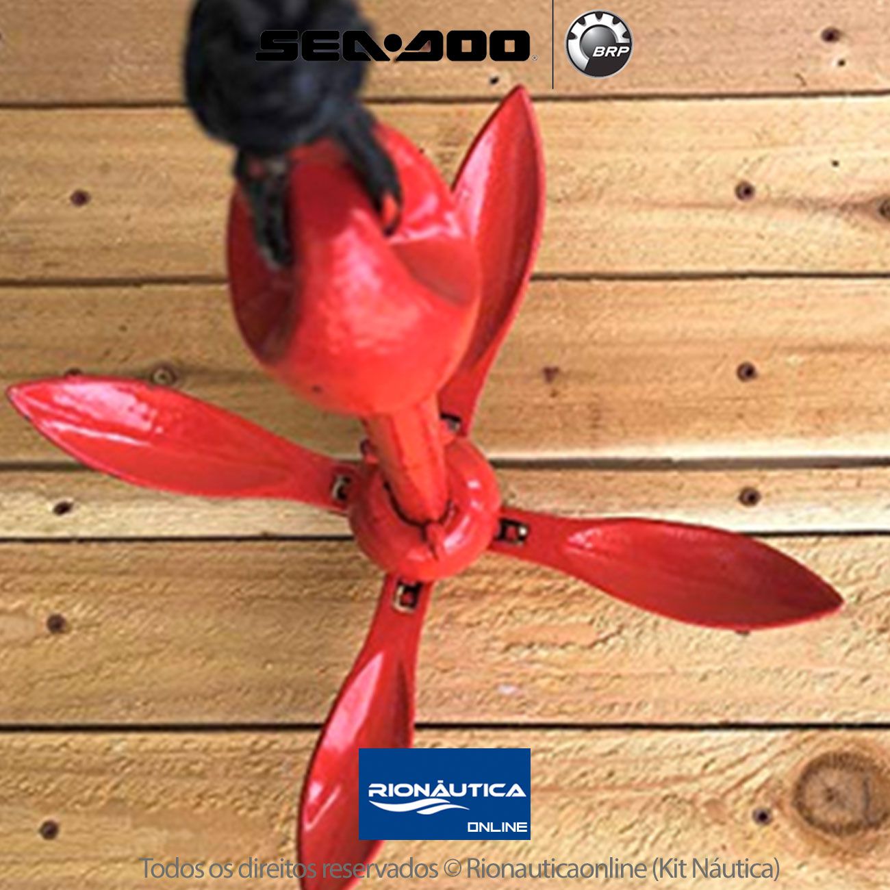 Âncora Dobrável Sea Doo 295100750 - Rionautica sua loja online de ...
