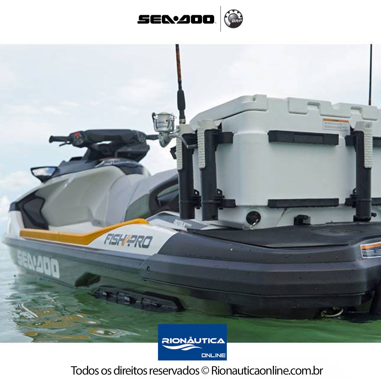 KIT 4 suporte de Varas Sea Doo LinQ da caixa Térmica 51 Litros ...