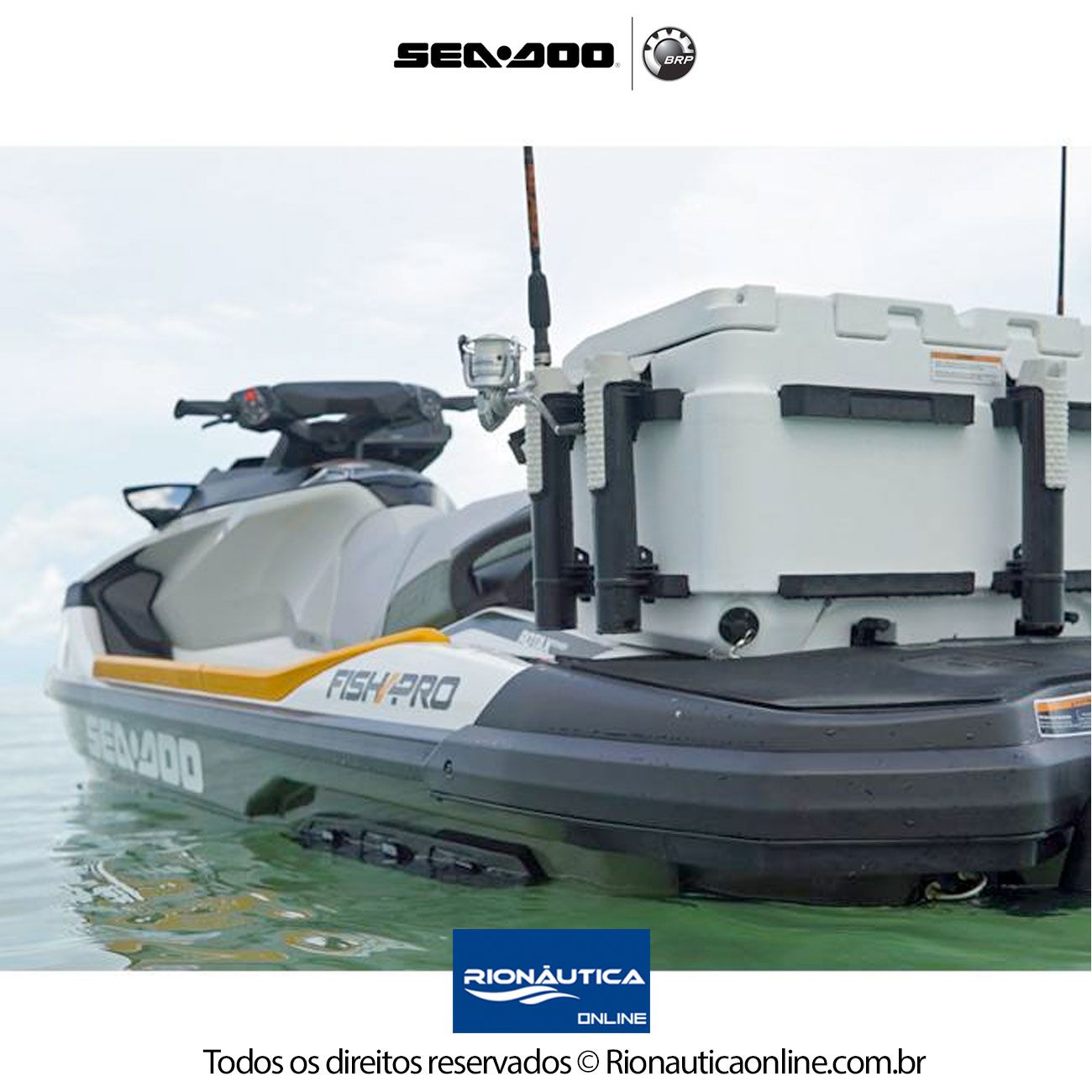 KIT 4 suporte de Varas Sea Doo LinQ da caixa Térmica 51 Litros ...