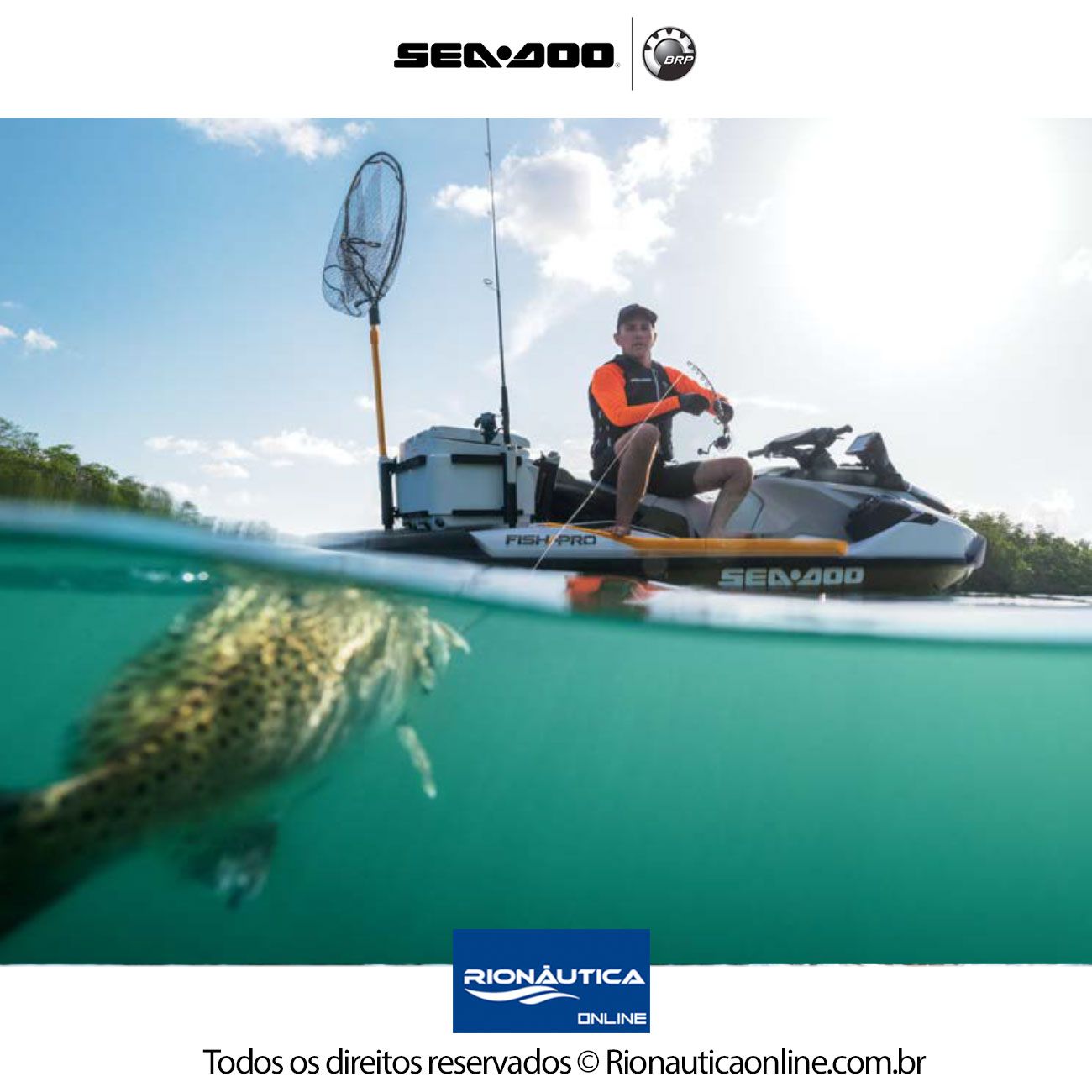 Porta Varas de Fixação Rápida LinQ da caixa Térmica 51 Litros Sea Doo ...