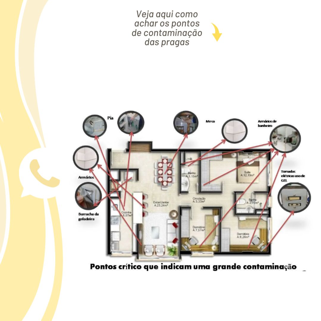 Inseticida Gel Baratol 10g Mata Baratas francesinha - Loja univer-se7 ...