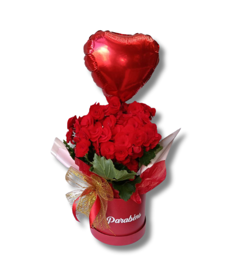 Box Com Begônia Pote 15 E Balão - Recanto das Flores