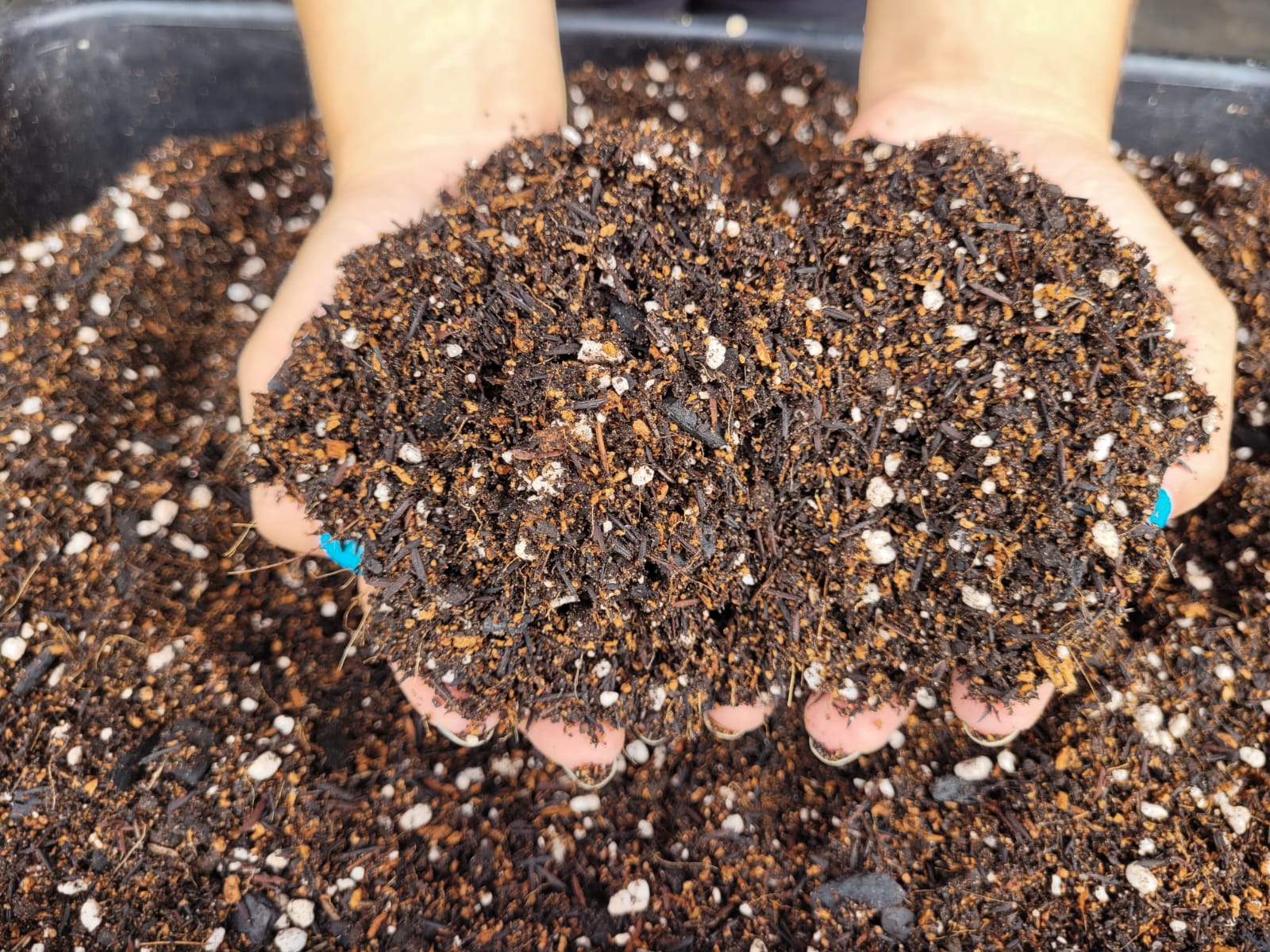 15kg Substrato Para Suculentas E Cactos Multi Jardim Premium - Multi ...