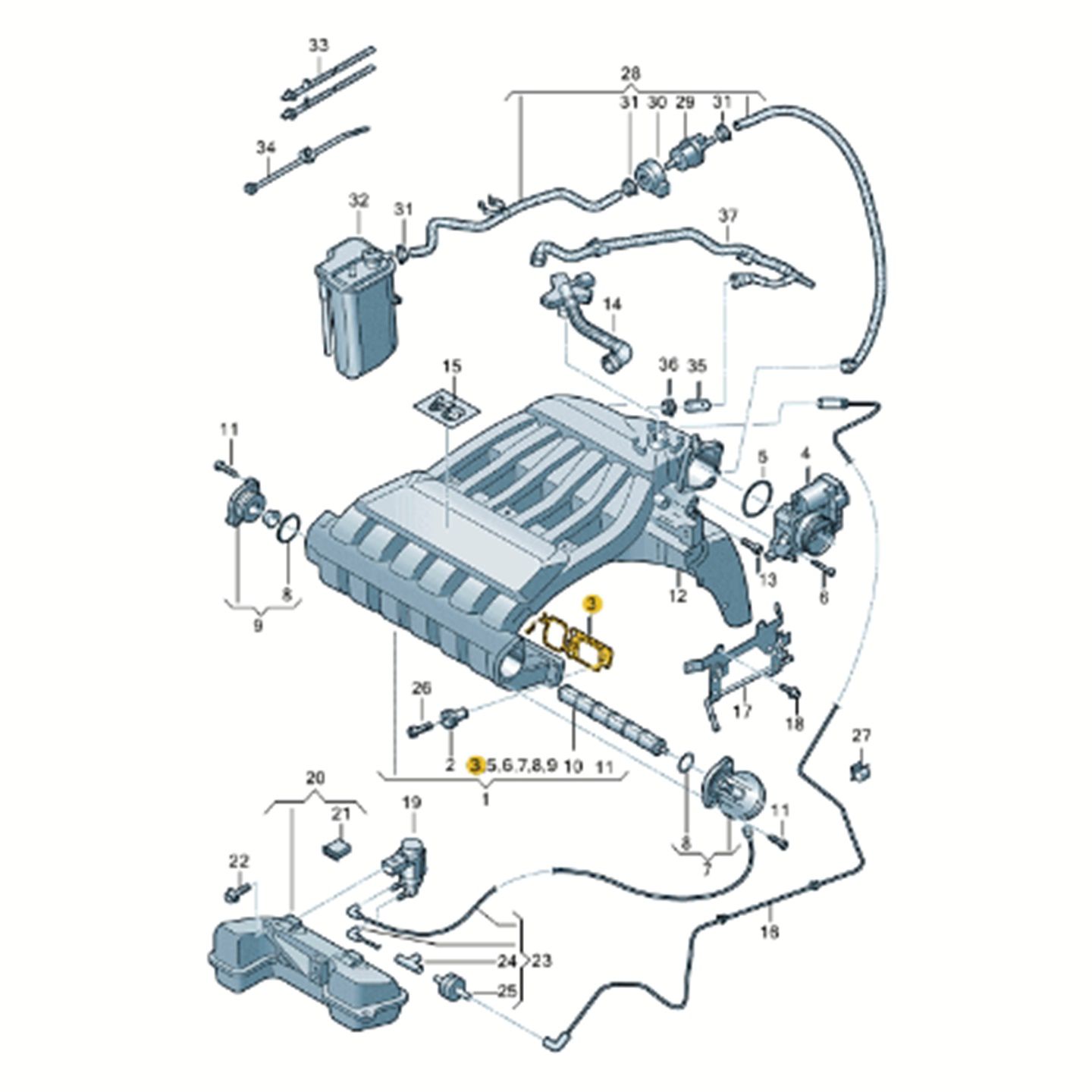 Junta Coletor Admissão VW Eos Golf Touareg A3 022133237C - G Santos ...