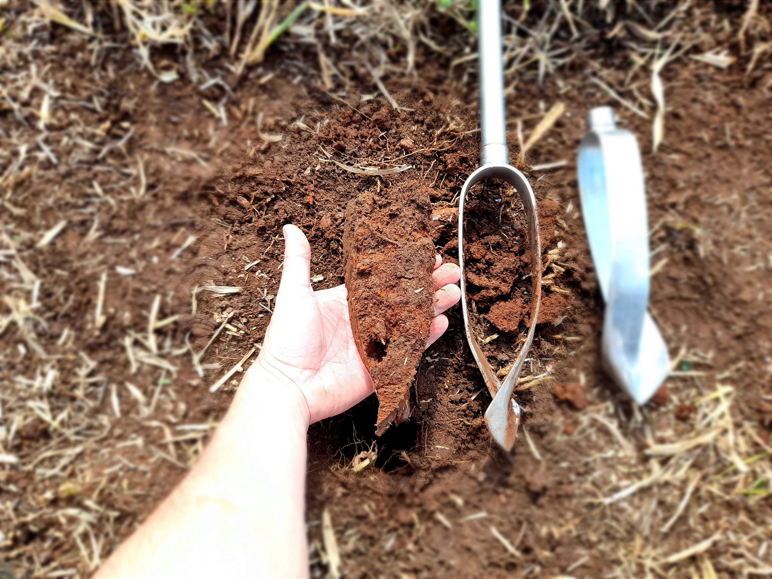 Solos Compactados e Argilosos – Análise de Solo, Fertilizante e - NPKTRADOS