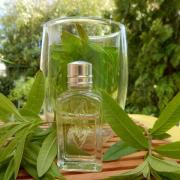 ESSENCIA INSP LOXITANE VERBENA 100ml l'occitane - Casa Limpa Produtos ...