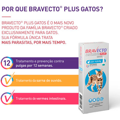 Antipulgas Bravecto Transdermal Plus MSD para Gatos de 2,8 a 6,25 Kg - 1 Pipeta de 0,89ml - Pet ...